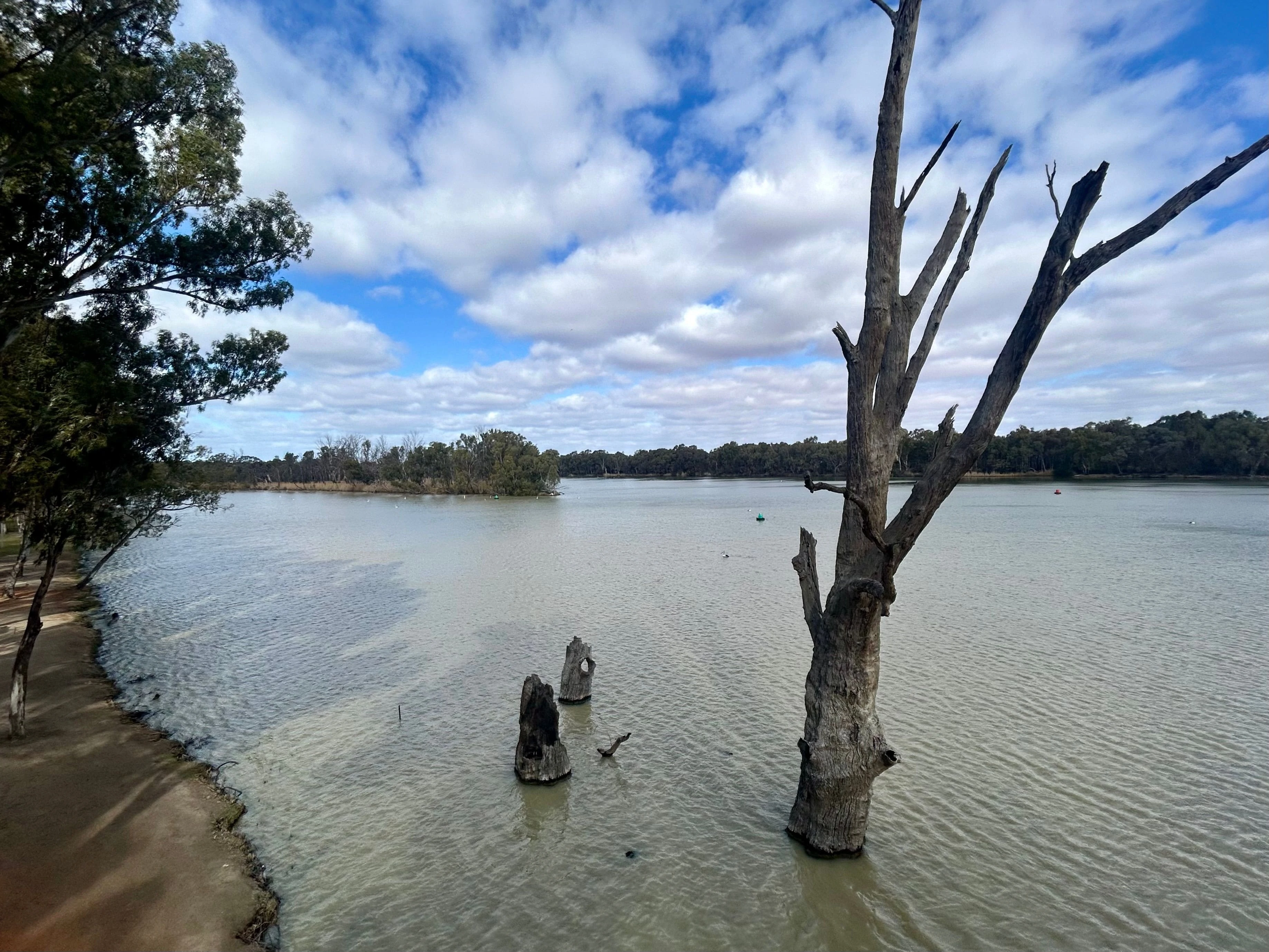 Murray River Tag Along
