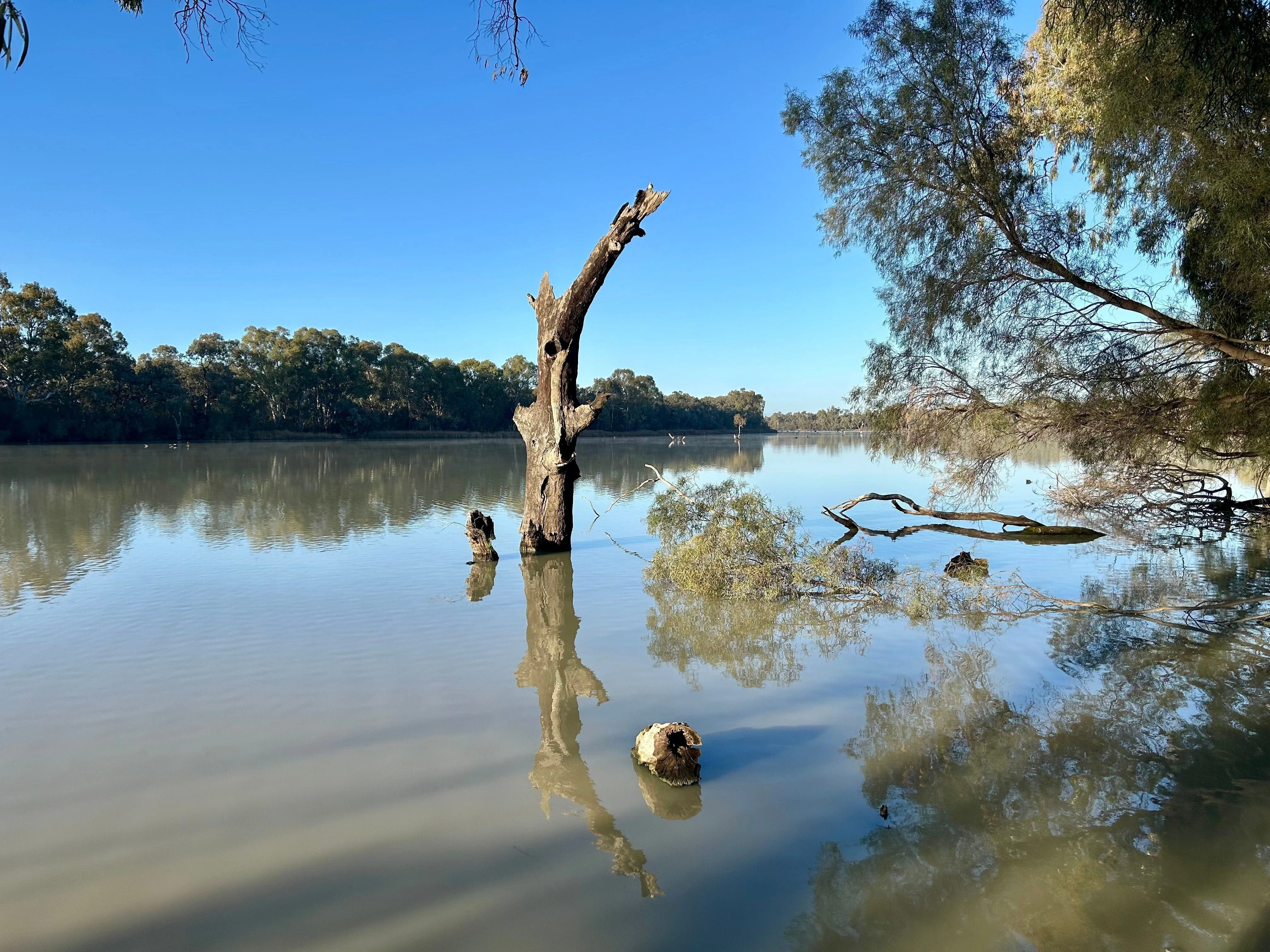 Murray River Tag Along